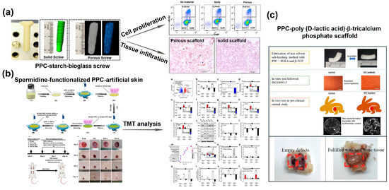 Poly(Propylene Carbonate)-Based Biodegradable and Environment-Friendly ...