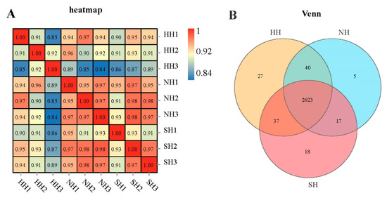 DIA-Based Proteomic Analysis Reveals MYOZ2 as a Key Protein Affecting ...