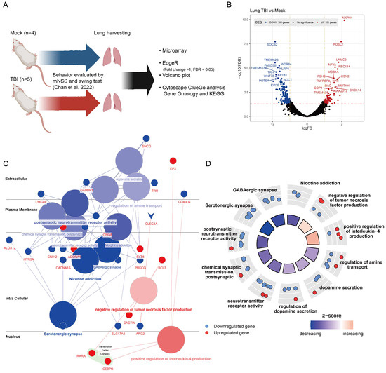 Pulmonary Effects of Traumatic Brain Injury in Mice: A Gene Set ...