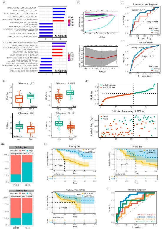The Transcriptional Landscape of Immune-Response 3′-UTR Alternative ...