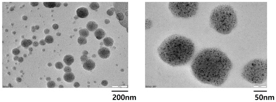 Comprehensive Analysis of Exosomal MicroRNAs Derived from UVB ...