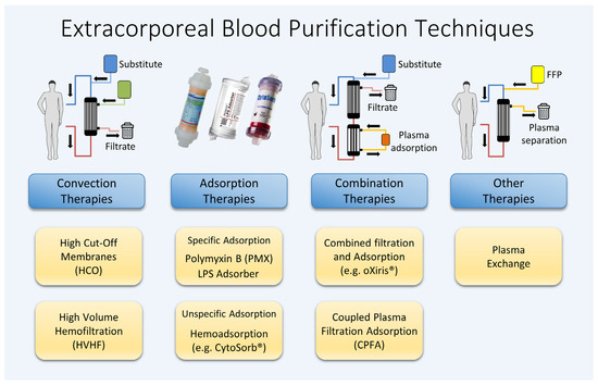Septic Hyperinflammation—Is There a Role for Extracorporeal Blood ...