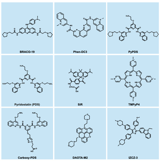 Spotlight on G-Quadruplexes: From Structure and Modulation to ...
