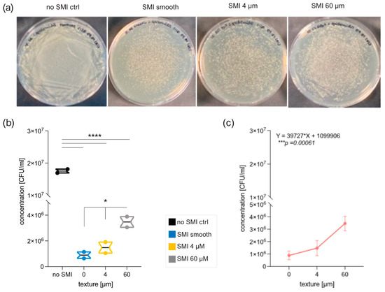 Surface Topography, Microbial Adhesion, and Immune Responses in ...