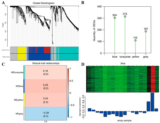 Phenotypic Investigation and RNA-seq of KN1 Involved in Leaf Angle ...