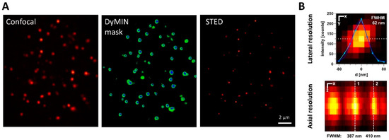3D Super-Resolution Nuclear Q-FISH Imaging Reveals Cell-Cycle-Related ...