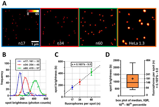 3D Super-Resolution Nuclear Q-FISH Imaging Reveals Cell-Cycle-Related ...