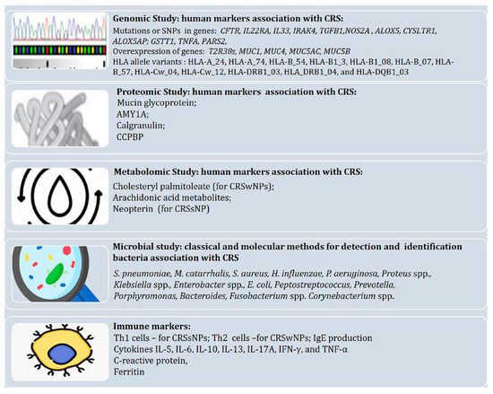 Chronic Rhinosinusitis—Microbiological Etiology, Potential Genetic Markers, and Diagnosis