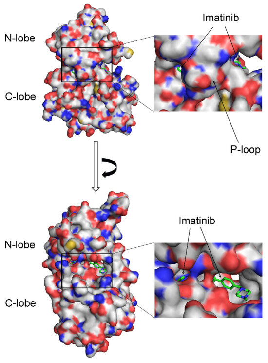 Inhibitor Trapping in Kinases