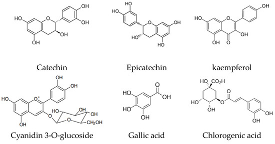 IJMS | Free Full-Text | Oxidative Stress: The Role of Antioxidant ...