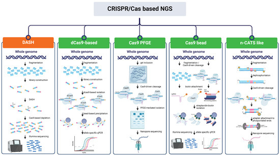 Not Only Editing: A Cas-Cade of CRISPR/Cas-Based Tools for Functional ...