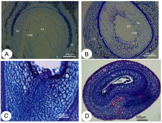 Strigolactones Might Regulate Ovule Development after Fertilization in ...