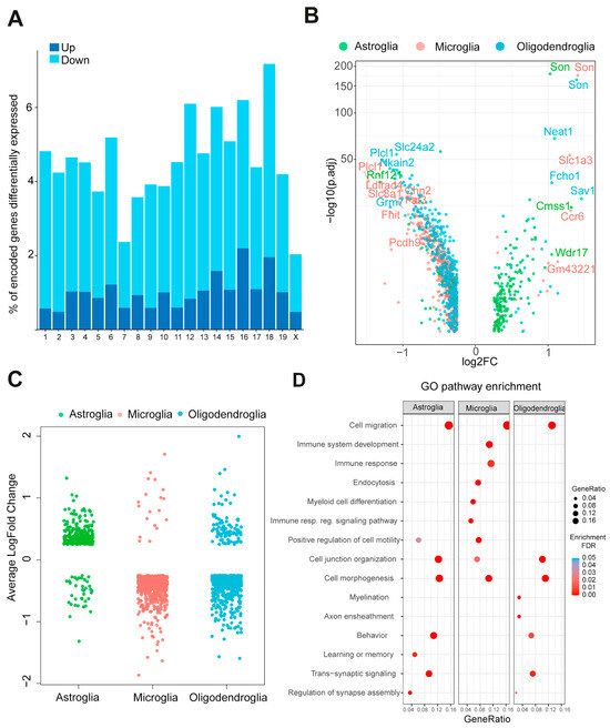 IJMS | Free Full-Text | Beyond Quiescent and Active: Intermediate Microglial Transcriptomic ...