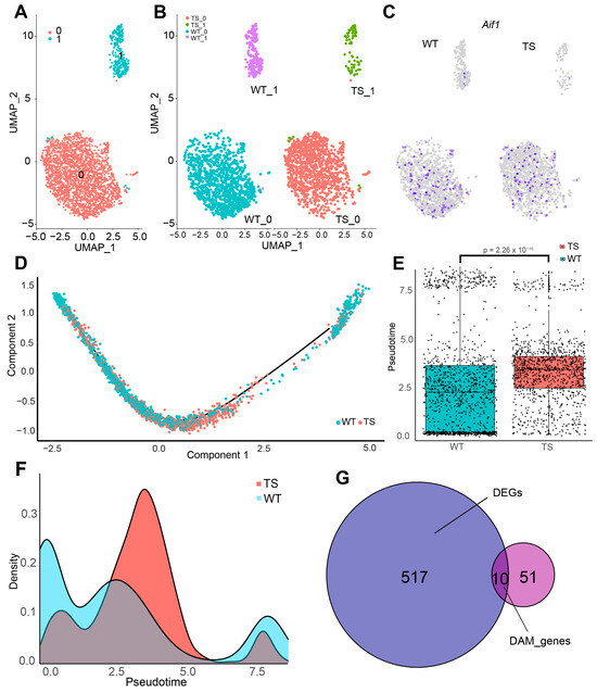 IJMS | Free Full-Text | Beyond Quiescent and Active: Intermediate Microglial Transcriptomic ...