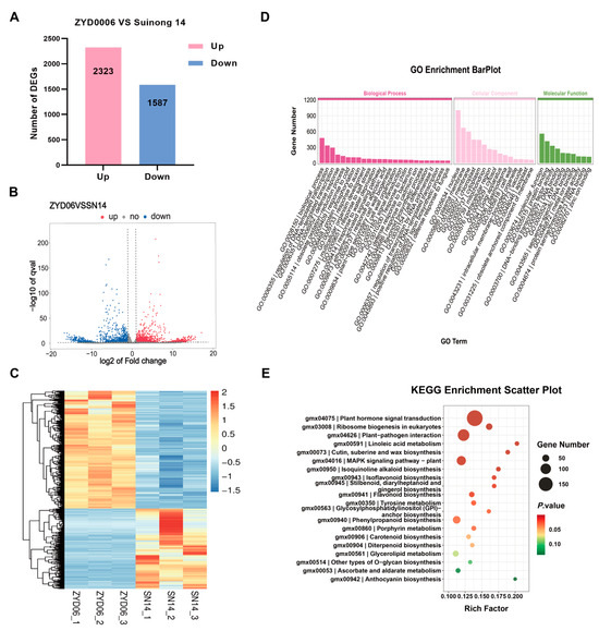 QTL Mapping and Data Mining to Identify Genes Associated with Soybean ...
