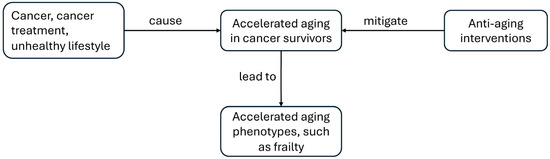 Accelerated Aging in Cancer Survivors: Cellular Senescence, Frailty ...