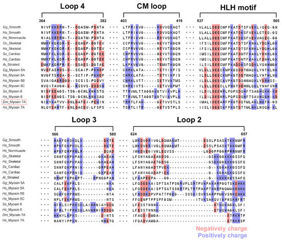 Sequence Alignment-Based Prediction of Myosin 7A: Structural ...