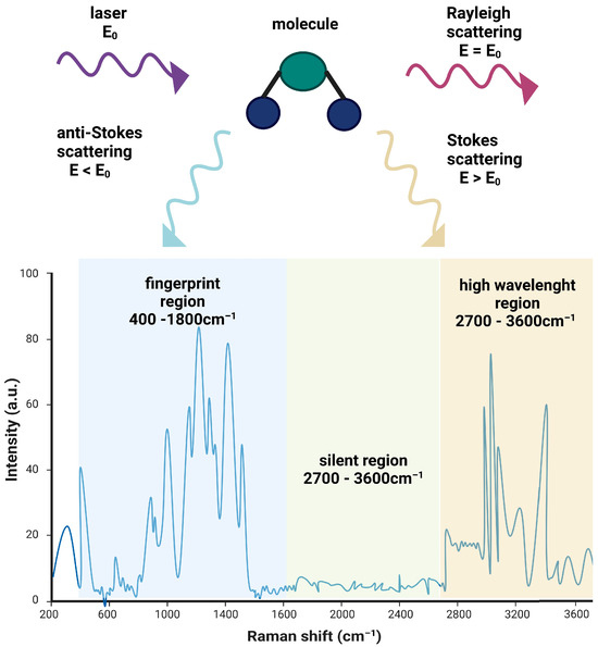 Raman Spectroscopy as a Research and Diagnostic Tool in Clinical ...
