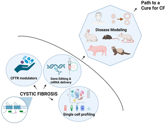Functional Consequences of CFTR Interactions in Cystic Fibrosis