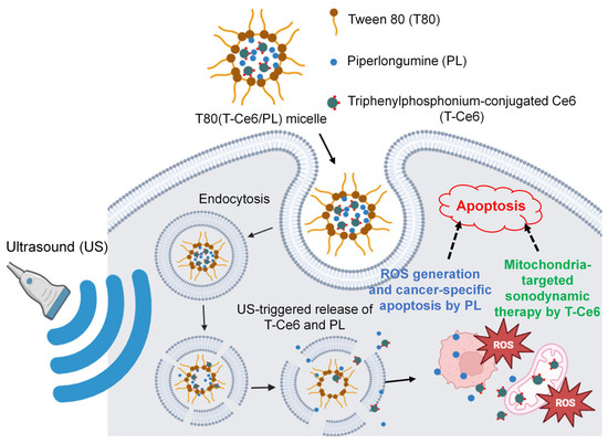 Efficient Combination Chemo-Sonodynamic Cancer Therapy Using ...