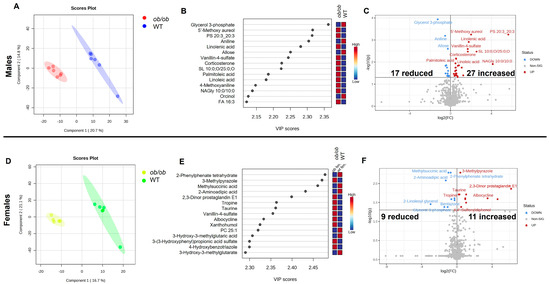 The Brain Metabolome Is Modified by Obesity in a Sex-Dependent Manner