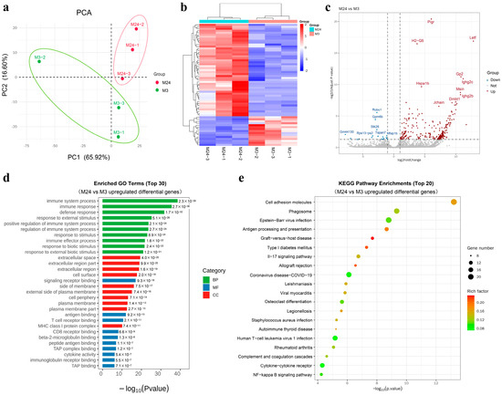 Age-Dependent Inflammatory Microenvironment Mediates Alveolar Regeneration