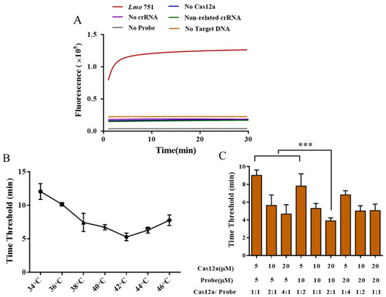 Rapid Nucleic Acid Detection of Listeria monocytogenes Based on RAA ...