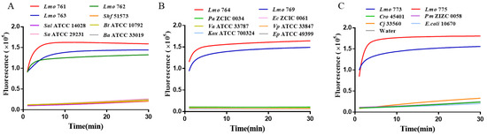 Rapid Nucleic Acid Detection of Listeria monocytogenes Based on RAA ...