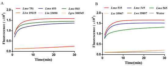 Rapid Nucleic Acid Detection of Listeria monocytogenes Based on RAA ...