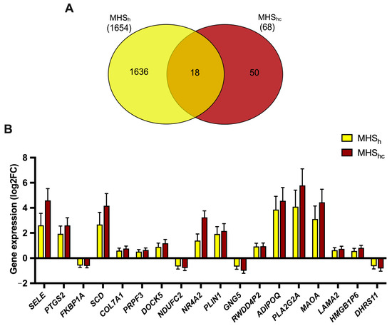 An Association between OXPHOS-Related Gene Expression and Malignant ...