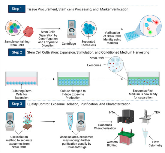 Therapeutic Applications of Stem Cell-Derived Exosomes