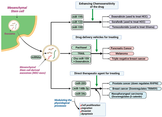 Therapeutic Applications of Stem Cell-Derived Exosomes