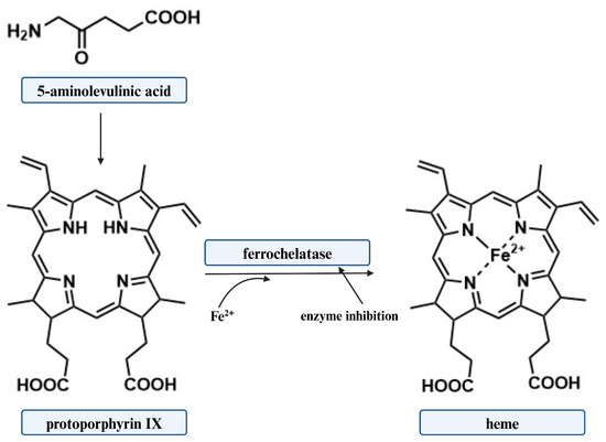 On the Possibility of Using 5-Aminolevulinic Acid in the Light-Induced ...