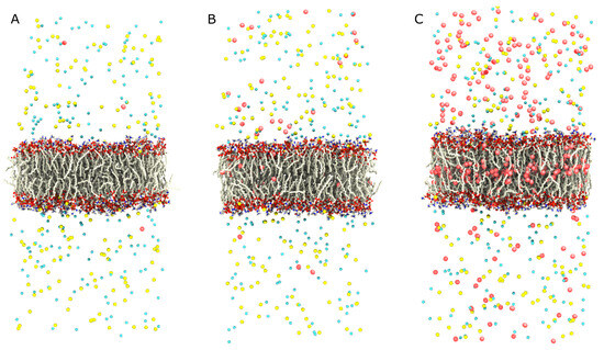 Generating Concentration Gradients across Membranes for Molecular ...