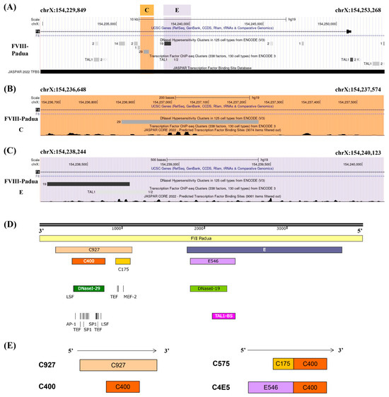 Identification of the Efficient Enhancer Elements in FVIII-Padua for ...