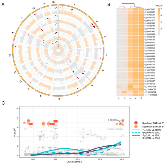 Unveiling the Genetic Mechanism of Meat Color in Pigs through GWAS ...