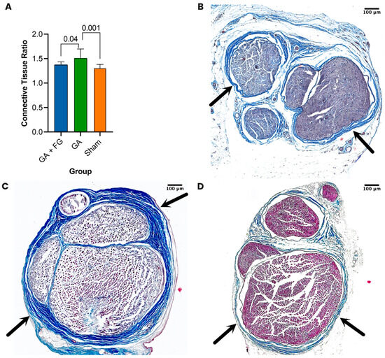 Fibrin Glue Coating Limits Scar Tissue Formation around Peripheral Nerves