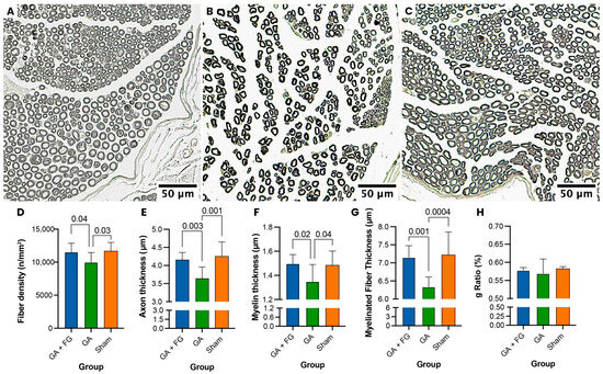 Fibrin Glue Coating Limits Scar Tissue Formation around Peripheral Nerves