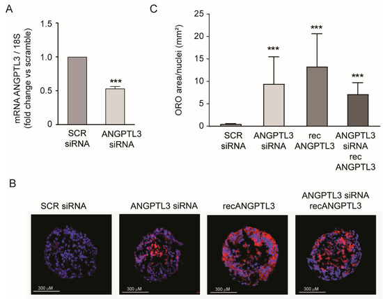 Gene Silencing of Angiopoietin-like 3 (ANGPTL3) Induced De Novo ...
