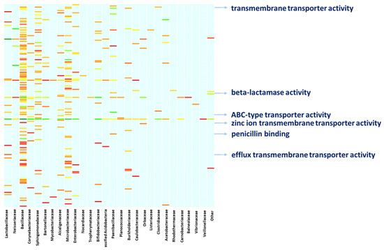 The Bee Gut Microbiota: Bridging Infective Agents Potential in the One ...
