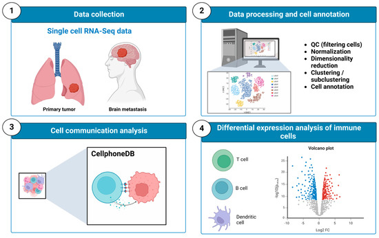 Comprehensive Analysis of Lung Adenocarcinoma and Brain Metastasis through Integrated Single ...