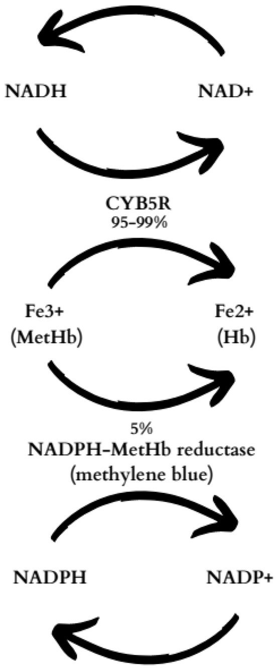 A Rare Case of Methemoglobinemia after Ifosfamide Infusion in a 3-Year ...
