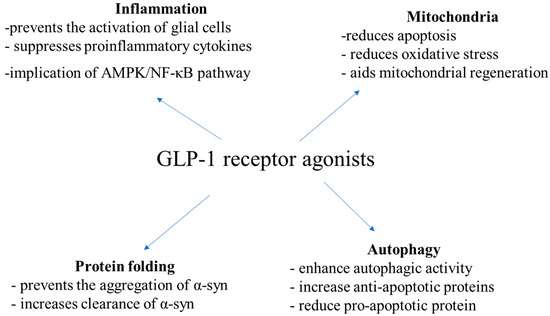 GLP-1 Receptor Agonists: A New Treatment in Parkinson’s Disease