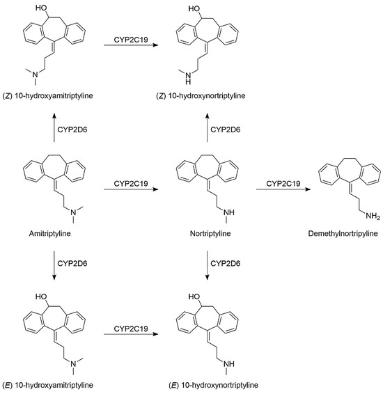 IJMS | Free Full-Text | An Overview of Degradation Strategies for ...