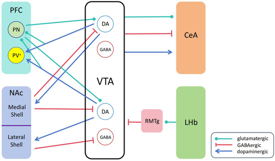 IJMS | Free Full-Text | The Formation and Function of the VTA Dopamine ...