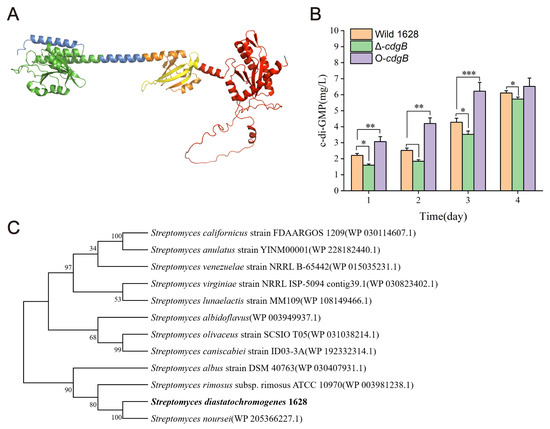 CdgB Regulates Morphological Differentiation and Toyocamycin Production ...