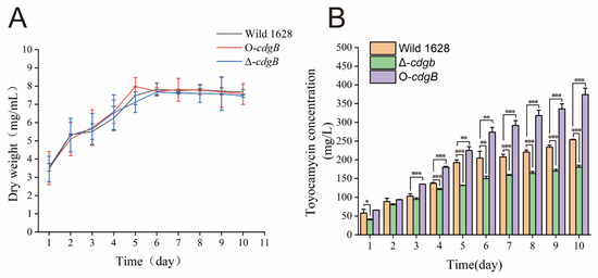 CdgB Regulates Morphological Differentiation and Toyocamycin Production ...