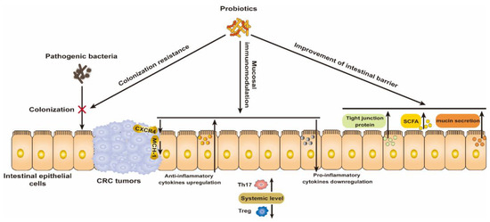 A Review of the Use of Native and Engineered Probiotics for Colorectal ...