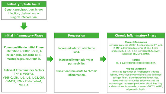 The Role of Inflammation in Lymphedema: A Narrative Review of ...