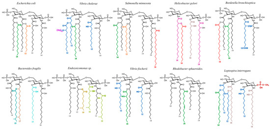 Diversity, Complexity, and Specificity of Bacterial Lipopolysaccharide ...